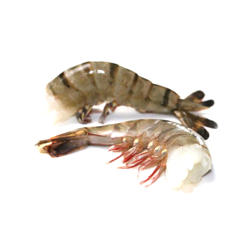 Crevettes Black Tiger Crues Sans Tête - ANSA FOOD