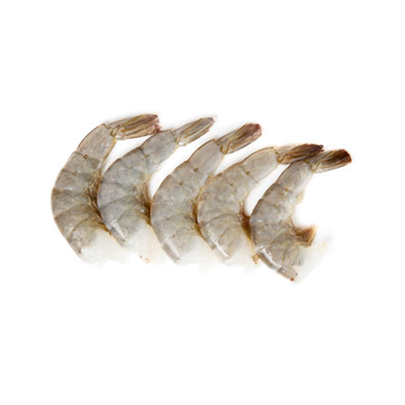 Crevettes Grises Crues Sans Tête - ANSA FOOD
