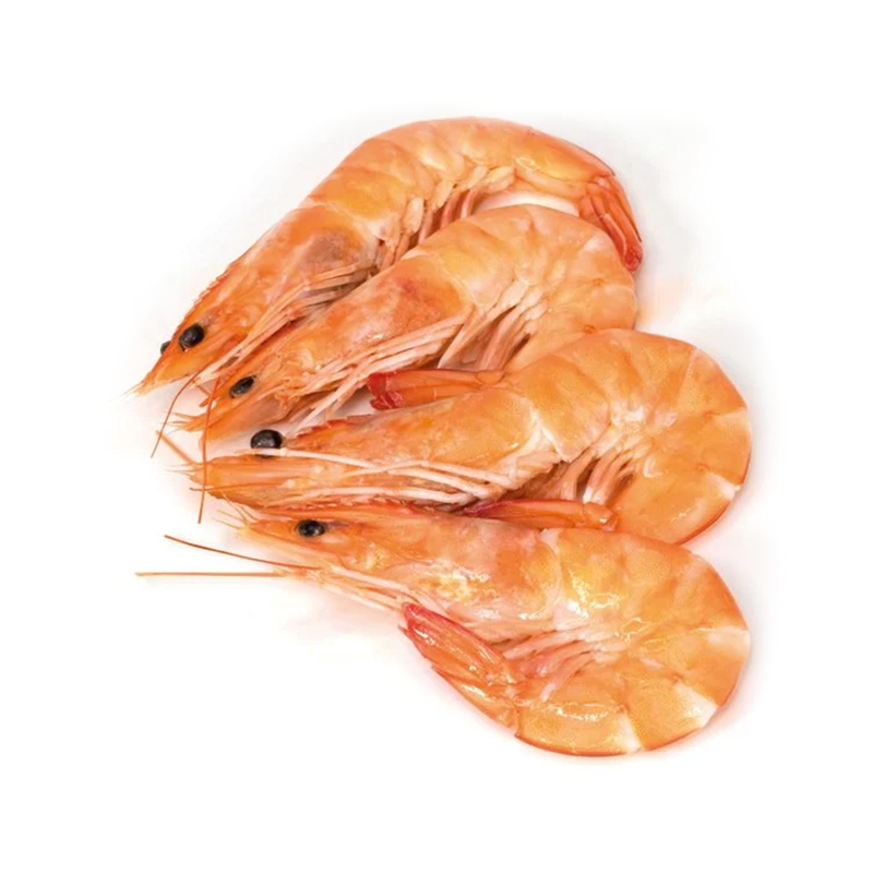 Crevettes Grises Cuites Entieres - ANSA FOOD