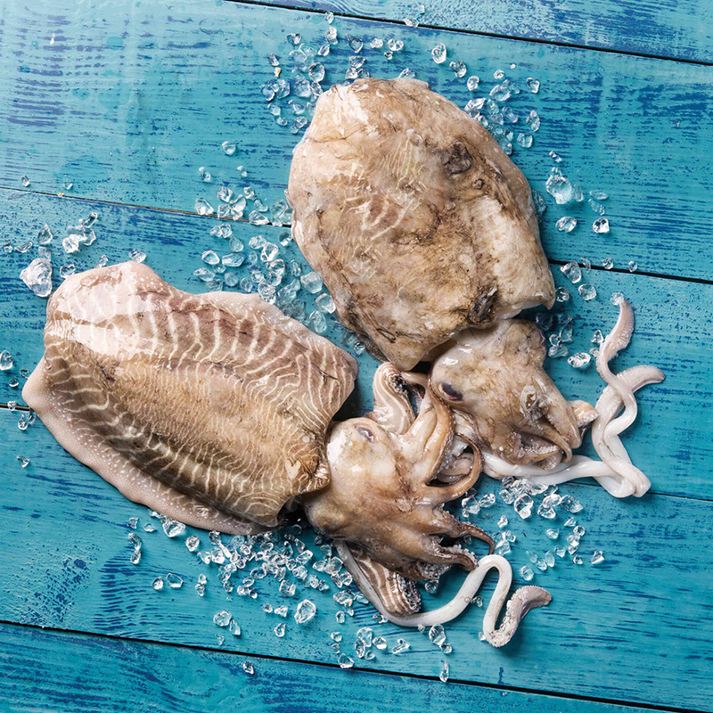 Seiche - ANSA FOOD